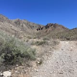 Aztec Cave Trail, Texas - 1,683 Reviews, Map | AllTrails