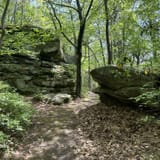 Jakes Rock Overlook, Pennsylvania - 186 Reviews, Map | AllTrails