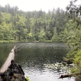 Fragrance Lake Trail, Washington - 2,908 Reviews, Map | AllTrails