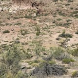 White Cliffs Wagon Trail, Arizona - 284 Reviews, Map | AllTrails