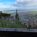 Te Aroha Summit Track, Waikato, New Zealand - 320 Reviews, Map | AllTrails