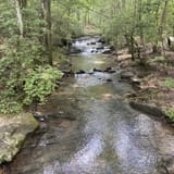 Greeter Falls Loop, Tennessee - 1,360 Reviews, Map | AllTrails