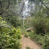 Temescal Canyon Trail, California - 10,323 Reviews, Map | AllTrails