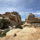 Ryan Mountain, California - 7,708 Reviews, Map | AllTrails