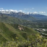 Mount Van Cott, Utah - 506 Reviews, Map | AllTrails