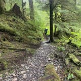Middle Fork Snoqualmie River Trail, Washington - 1,105 Reviews, Map ...