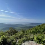 Perry Valley Loop Trail, West Virginia - 121 Reviews, Map | AllTrails