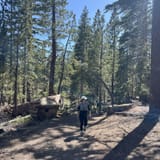 Inyo Craters Trail, California - 673 Reviews, Map | AllTrails