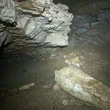 Patton Cave Loop Via Grubb Ridge, Indiana - 267 Reviews, Map | AllTrails