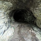 Patton Cave Loop Via Grubb Ridge, Indiana - 279 Reviews, Map | AllTrails