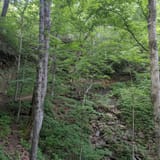 Patton Cave Loop Via Grubb Ridge, Indiana - 280 Reviews, Map | AllTrails