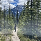 Widow Maker Trail, Alberta, Canada - 589 Reviews, Map | AllTrails