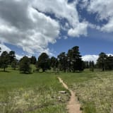 Colorow Mountain Forest and Meadow Loop Trail, Colorado - 595 Reviews ...