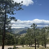 Colorow Mountain Forest and Meadow Loop Trail, Colorado - 595 Reviews ...