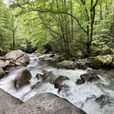 Mouse Creek Falls via Big Creek Trail, Tennessee - 2,838 Reviews, Map ...