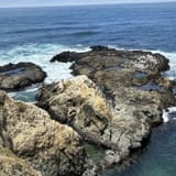 Tomales Point Trail, California - 6,564 Reviews, Map | AllTrails