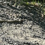 Link River Trail, Oregon - 559 Reviews, Map | AllTrails