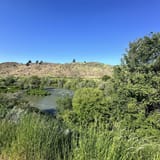 Link River Trail, Oregon - 559 Reviews, Map | AllTrails