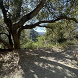 Murphy Ranch Trail, California - 3,899 Reviews, Map | AllTrails