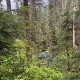 Enchanted Valley Chalet via East Fork Quinault River Trail, Washington ...