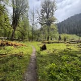 Enchanted Valley Chalet via East Fork Quinault River Trail, Washington ...