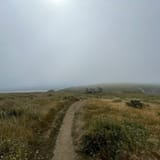 Tomales Point Trail, California - 6,564 Reviews, Map | AllTrails