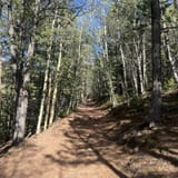 Horsethief Falls Trail, Colorado - 1,407 Reviews, Map | AllTrails