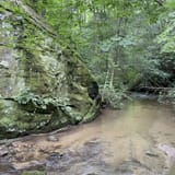 Chestnut Ridge Heritage Preserve Trail, South Carolina - 1,621 Reviews ...