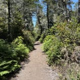Blacklock Point Trail, Oregon - 411 Reviews, Map | AllTrails