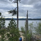 Tubbs Hill, Idaho - 4,176 Reviews, Map | AllTrails