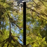 Doerner Fir Trail, Oregon - 29 Reviews, Map | AllTrails