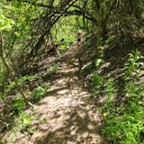 Kays Creek Parkway, Utah - 896 Reviews, Map | AllTrails