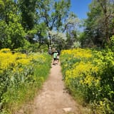 Kays Creek Parkway, Utah - 896 Reviews, Map | AllTrails