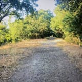 The Meadows Slough Trail, California - 449 Reviews, Map | AllTrails