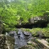 Jones Run Falls Trail, Virginia - 855 Reviews, Map | AllTrails