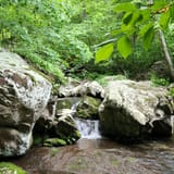 Jones Run Falls Trail, Virginia - 855 Reviews, Map | AllTrails