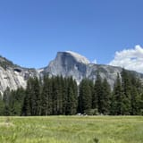Sentinel Meadow Cook's Meadow Loop Trail, California - 3,312 Reviews ...