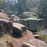 Catamount Falls via Thomas Trail, Colorado - 1,671 Reviews, Map | AllTrails