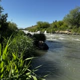 Link River Trail, Oregon - 559 Reviews, Map | AllTrails