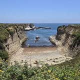 Old Cove Landing Trail, California - 3,748 Reviews, Map | AllTrails