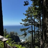 Natural Bridges Viewpoint Trail, Oregon - 717 Reviews, Map | AllTrails