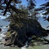 Natural Bridges Viewpoint Trail, Oregon - 717 Reviews, Map | AllTrails