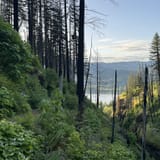 Oneonta Trail, Oregon - 724 Reviews, Map | AllTrails