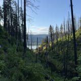 Oneonta Trail, Oregon - 724 Reviews, Map | AllTrails