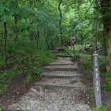 Gold Mine Loop Trail, Maryland - 1,000 Reviews, Map | AllTrails