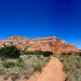 The Lighthouse Trail, Texas - 3,584 Reviews, Map | AllTrails