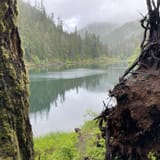 Spider Lake Trail, Washington - 240 Reviews, Map | AllTrails