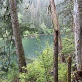 Spider Lake Trail, Washington - 240 Reviews, Map | AllTrails