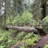 Spider Lake Trail, Washington - 240 Reviews, Map | AllTrails