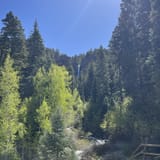 Treasure Falls Trail, Colorado - 1,341 Reviews, Map | AllTrails